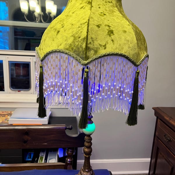 Luxury Arched Shape Lamp Shade, Velvet Fringed Lamp Cover,embroidered ...