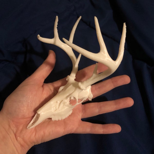 3D Printed Mini Deer Skull - Etsy