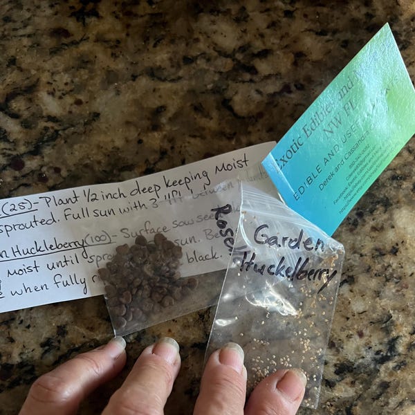 Wild Huckleberry - 100+ Seeds - Wildlife Food - Etsy