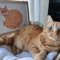 Carrot Cat Patch Cat Badge, Embroidery Iron-on Patch of Orange Tabby ...