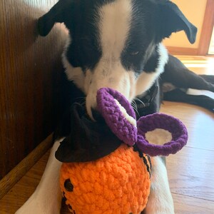 Stained Glass Warrior Cat Inspired Bracelet Necklace or - Etsy