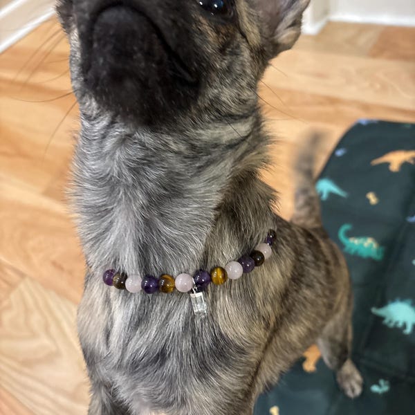 Custom Dog Collar, Crystal Cat Collar, Crescent Moon, Reiki Jewelry ...