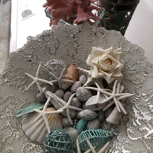 Shell Box Seashell Ring Box Beach Wedding Pill Box | Etsy