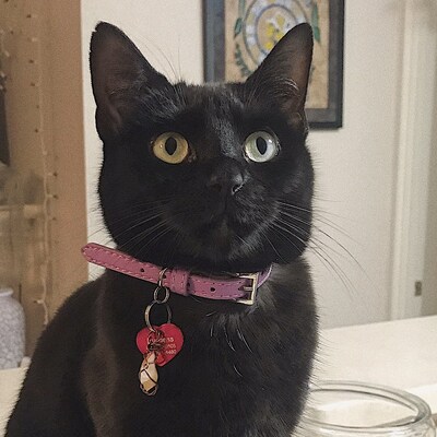 Raw Natural Crystal Key Chains/pet Collar Charms You Choose - Etsy