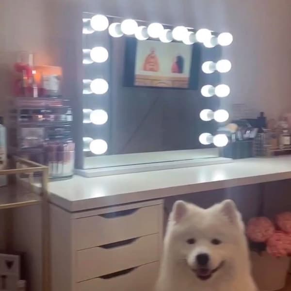 Curved Hollywood Vanity Mirror | LED Makeup Mirror | Table Top- Plugs ...