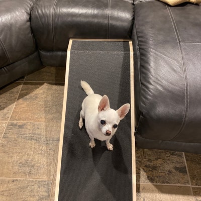 Doggoramps Small Dog Ramp for Bed including Tall Beds - Etsy