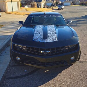 Bat Car Window Decals Quarter Panel Window Large Pattern Decal Custom ...