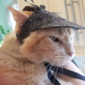 Classic Cat Hat. Cap for Cats and Kittens. Yellow Herringbone - Etsy