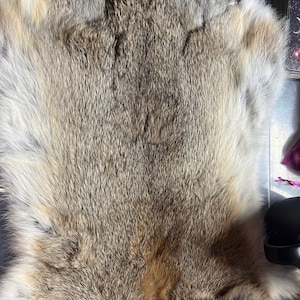 2x WILD MEADOW Rabbit Skin Fur Pelt Tanned for Animal | Etsy
