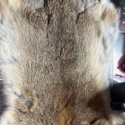 Luxury Real Rabbit Fur Plate 120cmx60cm Tanned for Throws - Etsy