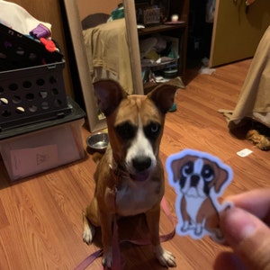 Boxer Dog Sticker Chibi Puppy Dog Vinyl Hand Drawn | Etsy