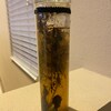 War Water - Etsy