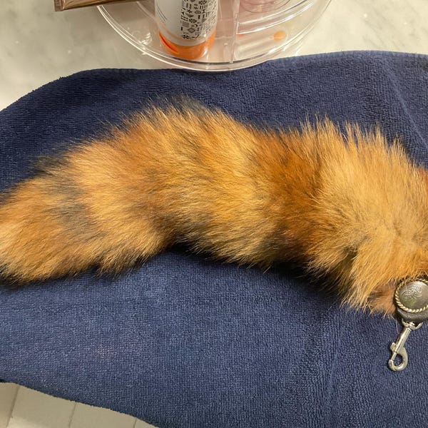 Red Fox Tails With Keychain Option - Etsy