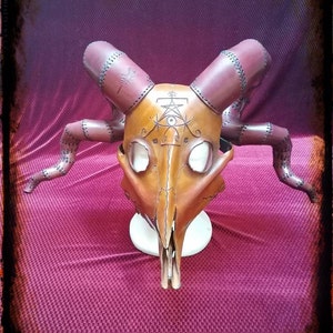 Pagan Skull Mask Leather Pattern PDF by Leatherhub - Etsy