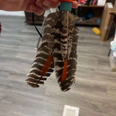 Macaw Feather Hair Combs - Etsy