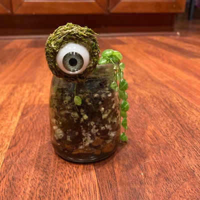 Eye Lichen Labyrinth Themed Gift - Etsy