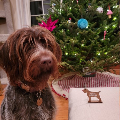 Wirehaired Pointing Griffon Christmas Ornament Personalized Pet ...