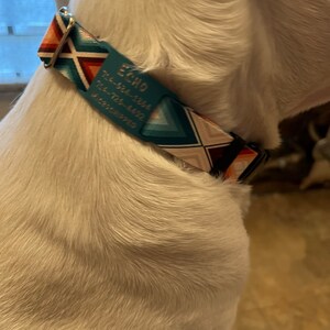 BREAKAWAY Dog Collar Choose Any Print Optional Personalized ID Buckle ...