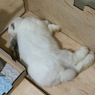 Wooden Rabbit House, Bunny сastle 2 Ramps - Etsy