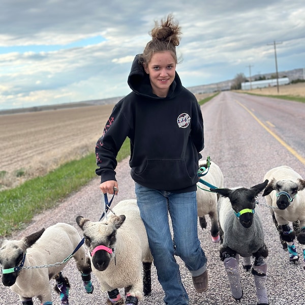 LAMB HALTER | "t3" (two-toned Tab Halter) | Stock Show | Show Lamb | - Etsy