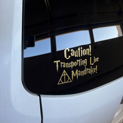 Dog Angel Car Decal Rainbow Bridge Decal Dog Memorial - Etsy