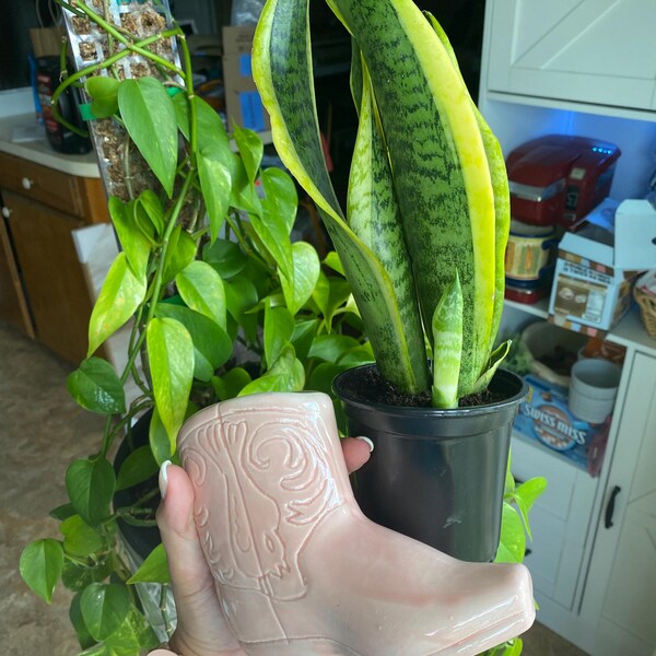 Body Positivity Modern Planter Pot/women or Girl Body Planter ...