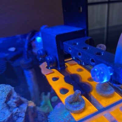 Pod Palace V2 Copepod Breeding Block, Give Your Pods a Home to ...