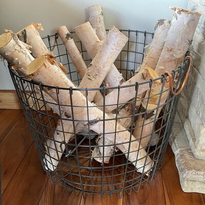 Birch Bundle of Logs 10 Free Shipping - Etsy