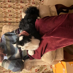 SEEU & Chongker He Hua Super Lifelike Plush Panda Dollpanda Fans Can't ...