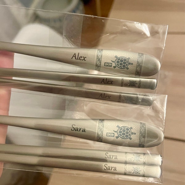 Silver Sea Turtle Design Korean Chopsticks and Spoon_simple Package ...