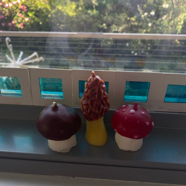 Morel Candle - Etsy