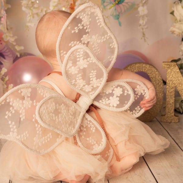 Baby Child Floral Fairy Double Wing Dressup Quality Fairy Wings ...