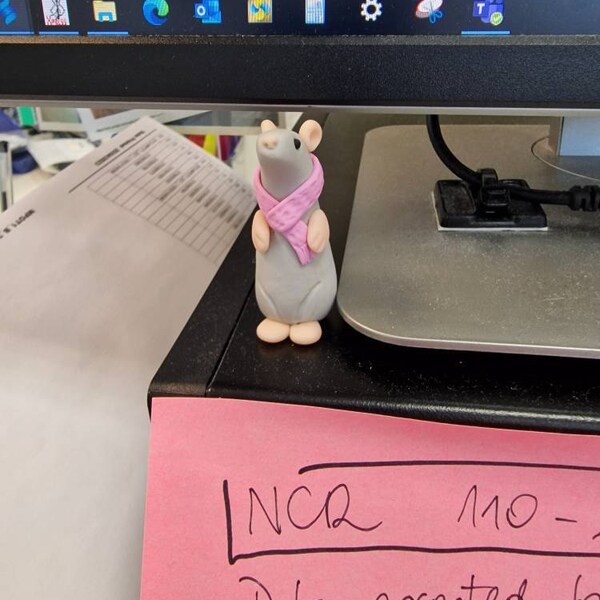 Custom Ferret / Polecat Polymer Clay Model - Etsy