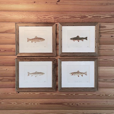 Freshwater Fish Print - Etsy