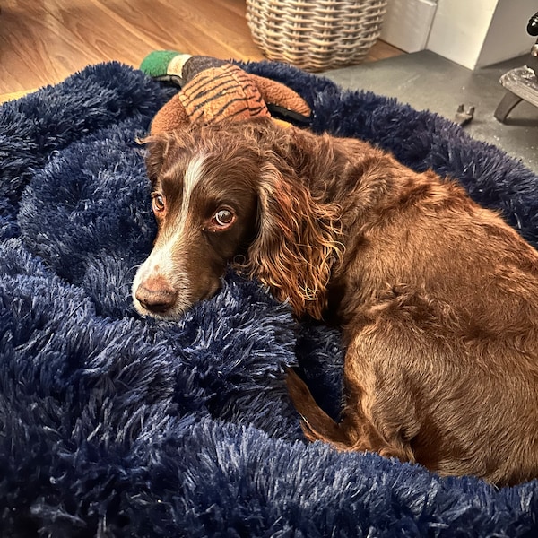 Beige ECO Donut Shaped Fluffy Dog Bed, Washable Dog Bed, Doughnut Dog ...