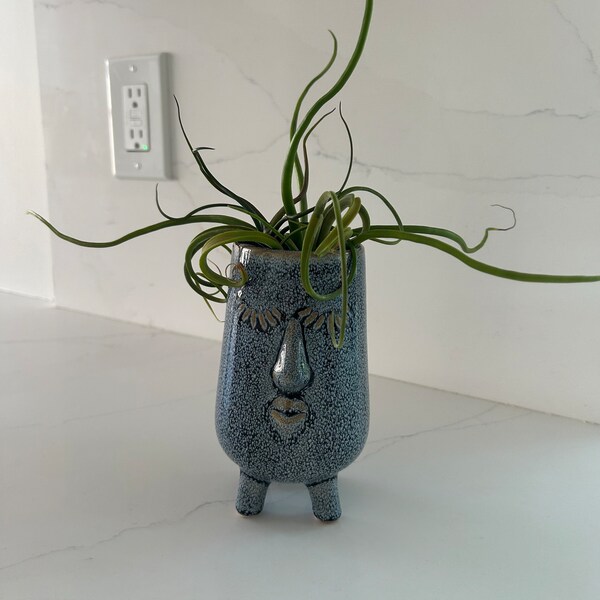 Tillandsia Bulbosa | Alien Air Plant - Etsy