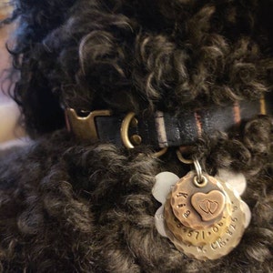 Rugged Stainless Steel Dog Tag Washer Pet ID Tag Custom Pet Tag ...