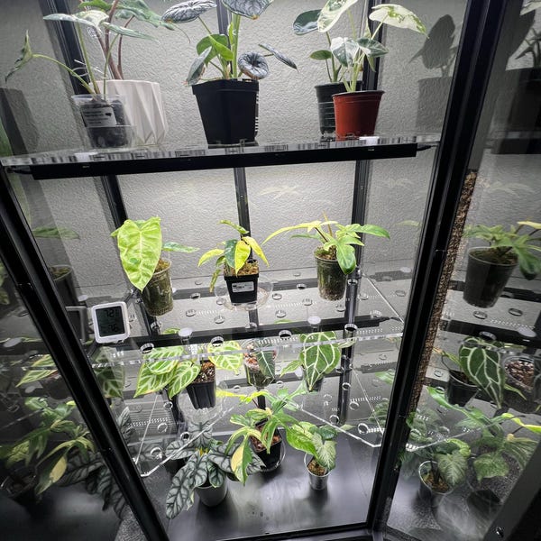 Milsbo Tall Set of 3 Sizes; Shelves for IKEA Indoor Greenhouse Cabinet ...