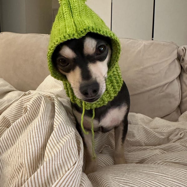 Crochet Dog Hood Pattern - Etsy