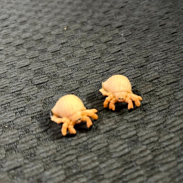 Miniature Crab, Mini Hermit Crab, Beach Garden Supplies, Terrarium ...