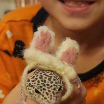Leopard Gecko and Other Lizard Hats - Etsy