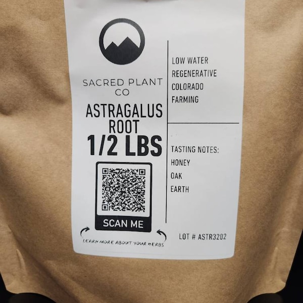 Sacred Fig Tree Seeds | Bodhi Tree Seeds | Pippala Tree Seeds | Peepal ...