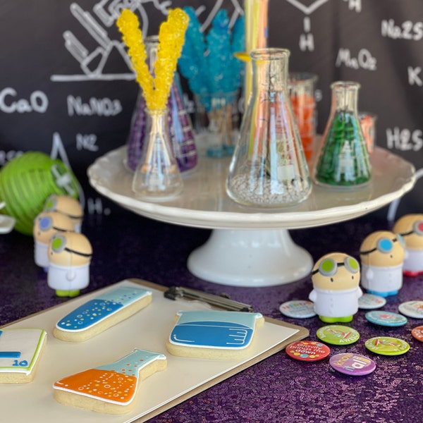 Science Theme Birthday Cookies,mad Scientist Party Favors, Birthday ...