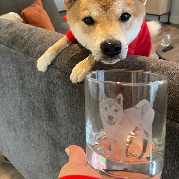 Rocks Glass, Photograph on Glass, Custom Glasses, Pet Photo, Dog Lover ...