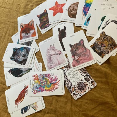 The Ceremonial Power Animals Oracle Cards Vol. II Deck, Oracle Cards, Power Animals, Animales De ...