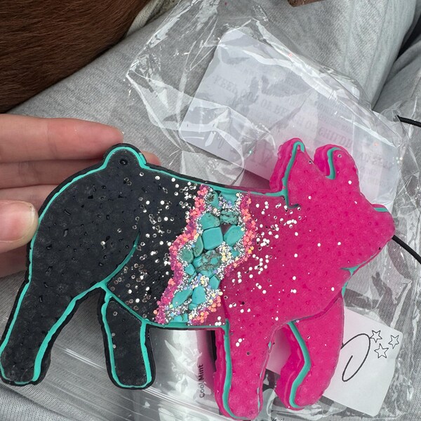 Pig Freshie/ Carfreshie / Farm Freshie/ Punchy Western/ Show Pig/ Car Freshies/ Freshies - Etsy