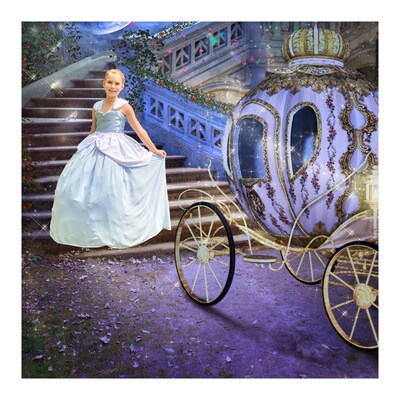 Cinderella Digital Backdrop , Fairytale Inspired , Princess Digital ...