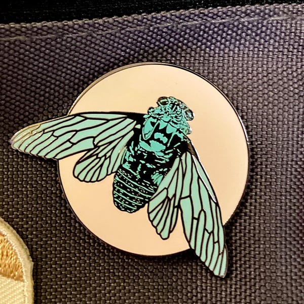 Cicada Sticker Set Sheet - Etsy