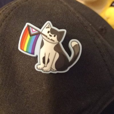 Pride Flag Cat Vinyl Sticker Pride Rainbow / Progress / - Etsy