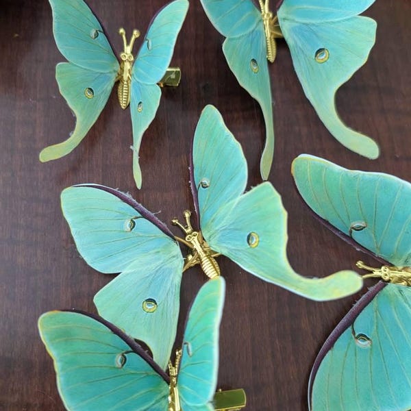 Blue Butterfly Paper Cutouts Realistic Morpho Butterfly Mockup, 4 ...